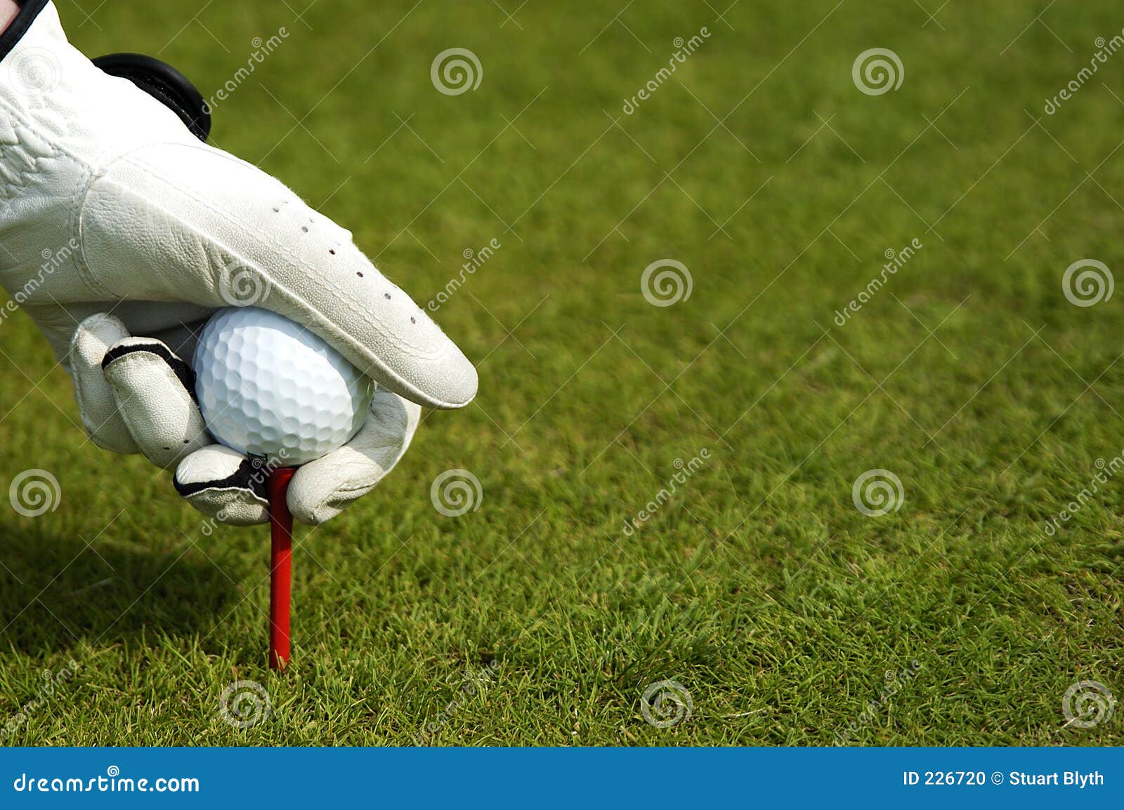 On the tee stock photo. Image of leather, grip, grass, prepare - 226720