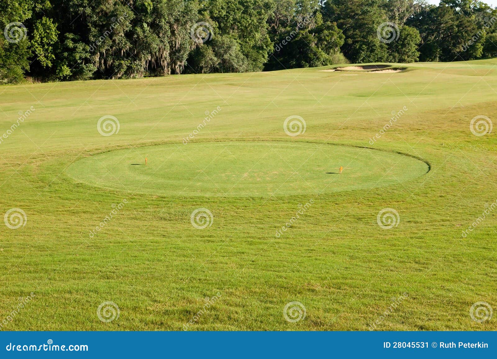 Tee Box stock image. Image of landscaped, lawn, manicured - 28045531