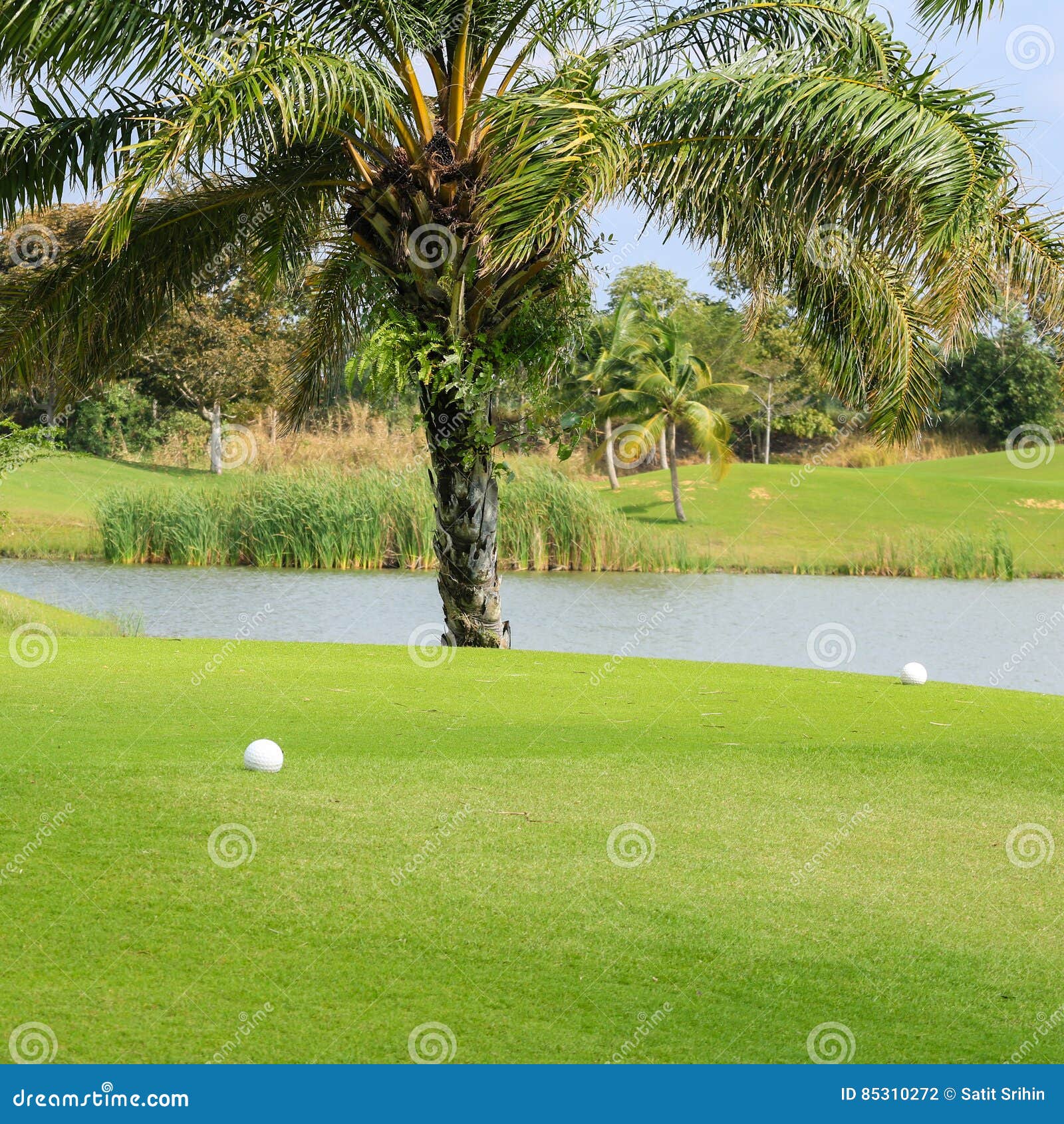Tee box in the golf course stock photo. Image of nature - 85310272