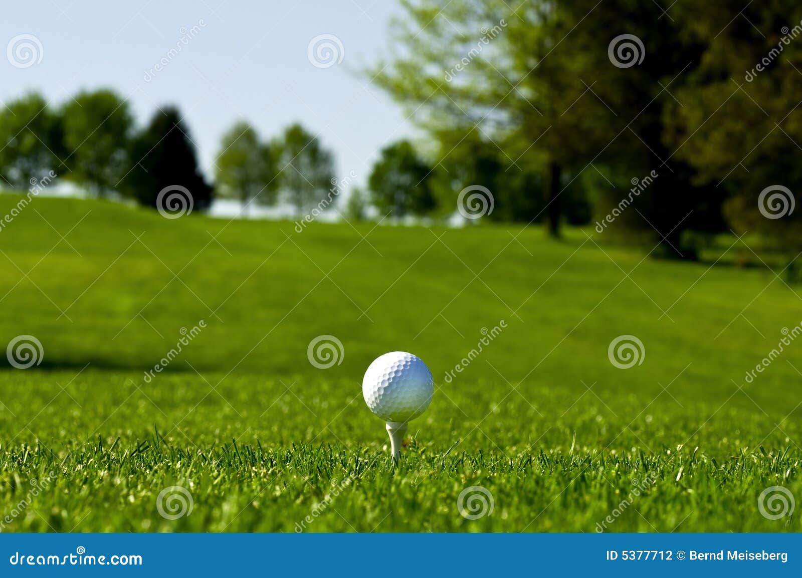 Tee off stock photo. Image of fairway, play, sport, driving - 5377712