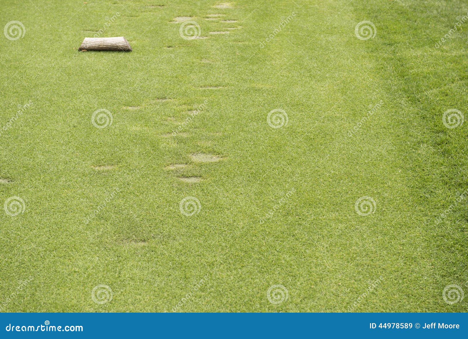 Tee Off Area on Golf Course Stock Image - Image of area, lawn: 44978589