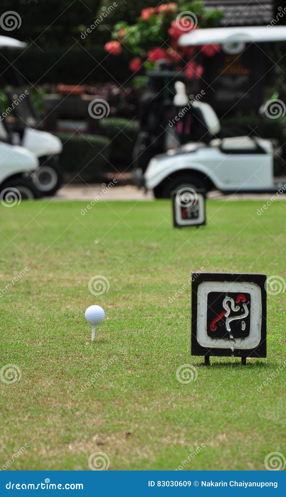 Tee Off with Golf Cart on Golf Course Stock Image - Image of exercise ...