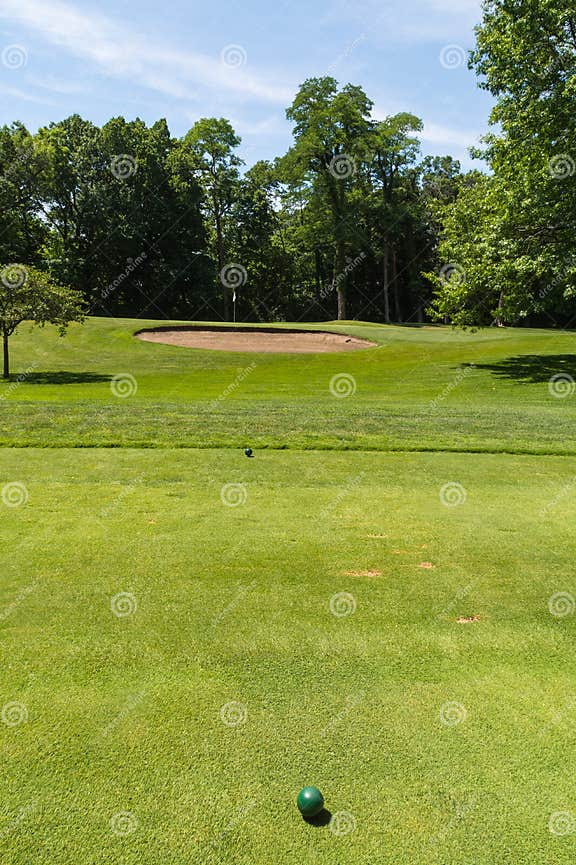 Tee off on golf course. stock image. Image of exercise - 73146605