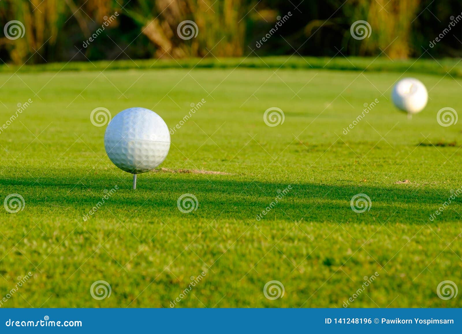Tee Off Pin in Golf Course Northern Thailand Stock Photo - Image of ...