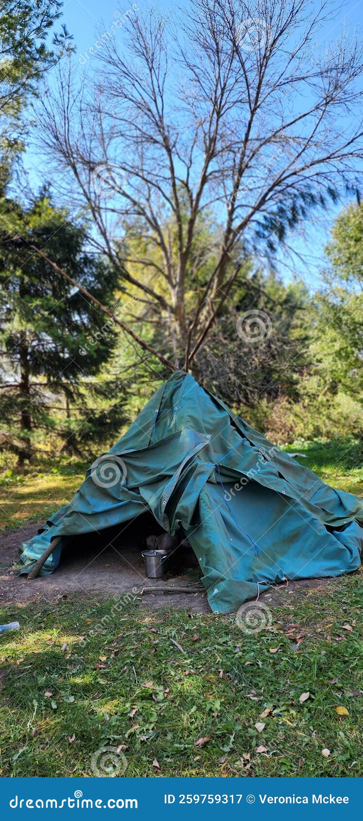 Tee pee camping stock image. Image of nature, forest - 259759317