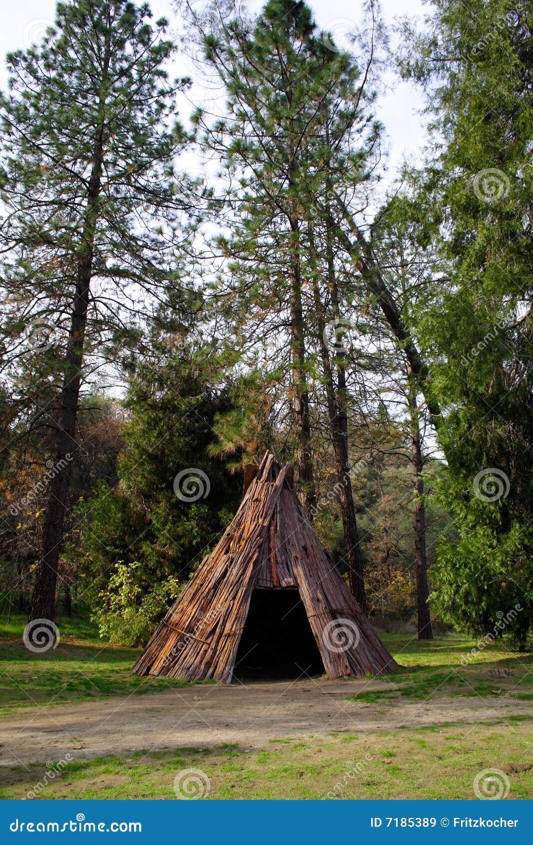 Tee Pee in woods stock image. Image of nature, wood, house - 7185389