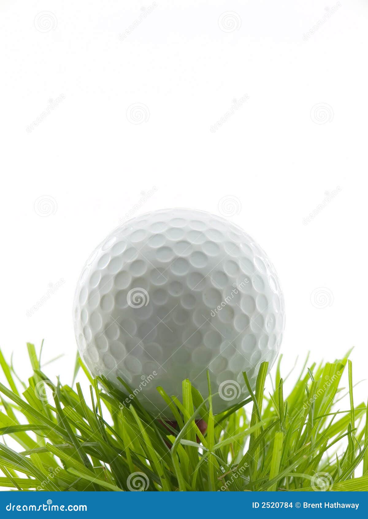 Tee Shot stock photo. Image of green, isolated, sport - 2520784