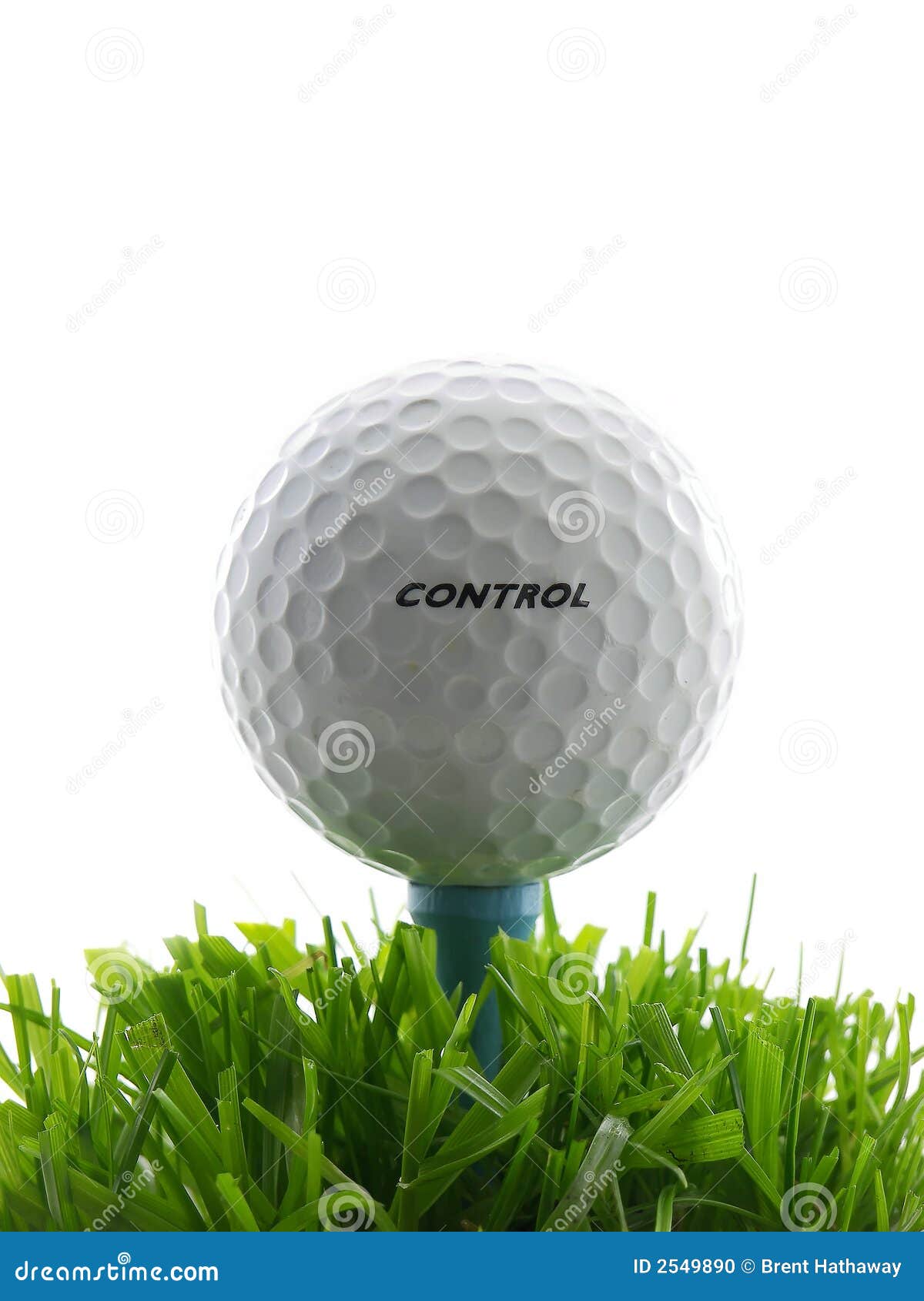 Tee Shot stock photo. Image of golfball, lawn, golf, sport - 2549890