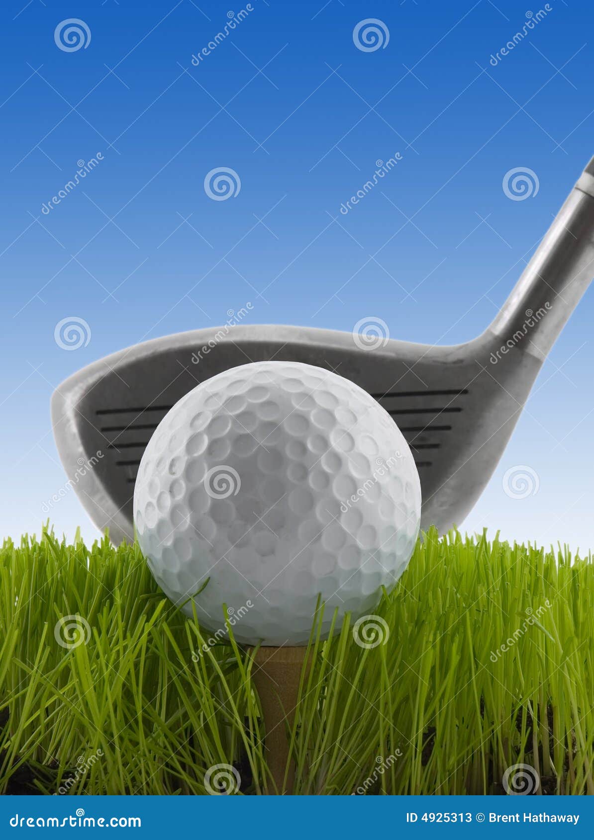 Tee Shot stock image. Image of sport, green, wood, pastime - 4925313