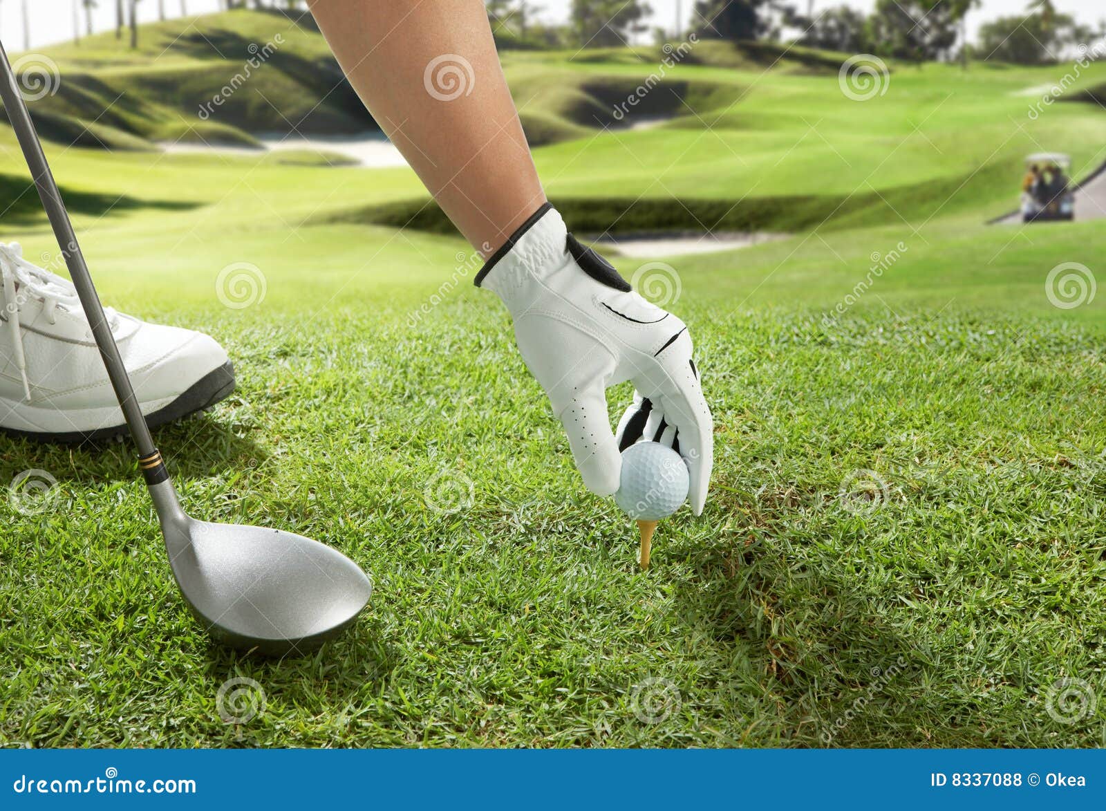 Tee up stock photo. Image of golf, grass, outdoor, recreation - 8337088
