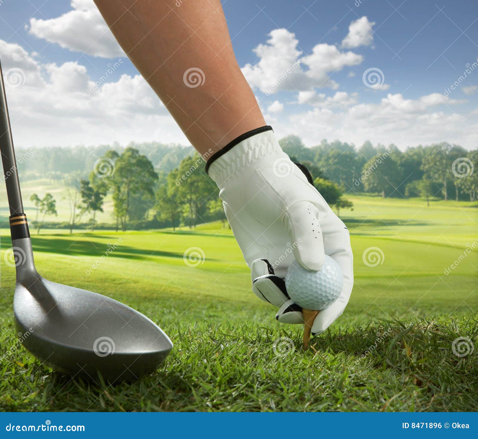 Tee up stock photo. Image of golfer, green, summer, glove - 8471896