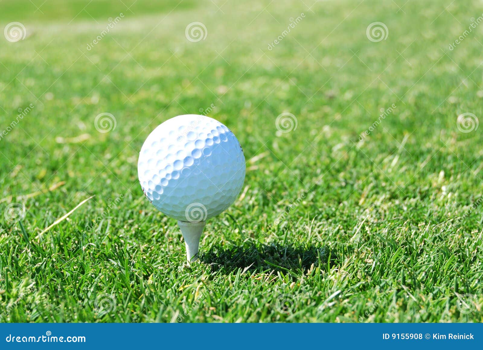 Tee up stock photo. Image of white, golf, exercise, round - 9155908