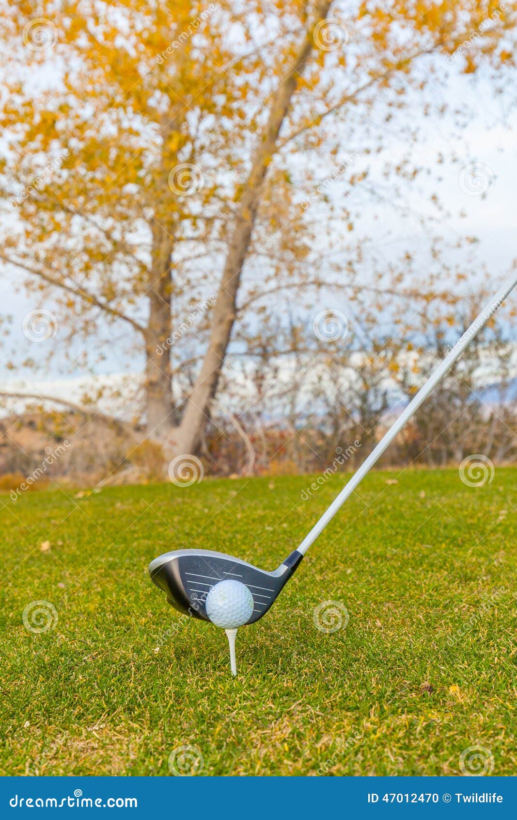 Teed Up stock photo. Image of driver, golf, fall, active - 47012470