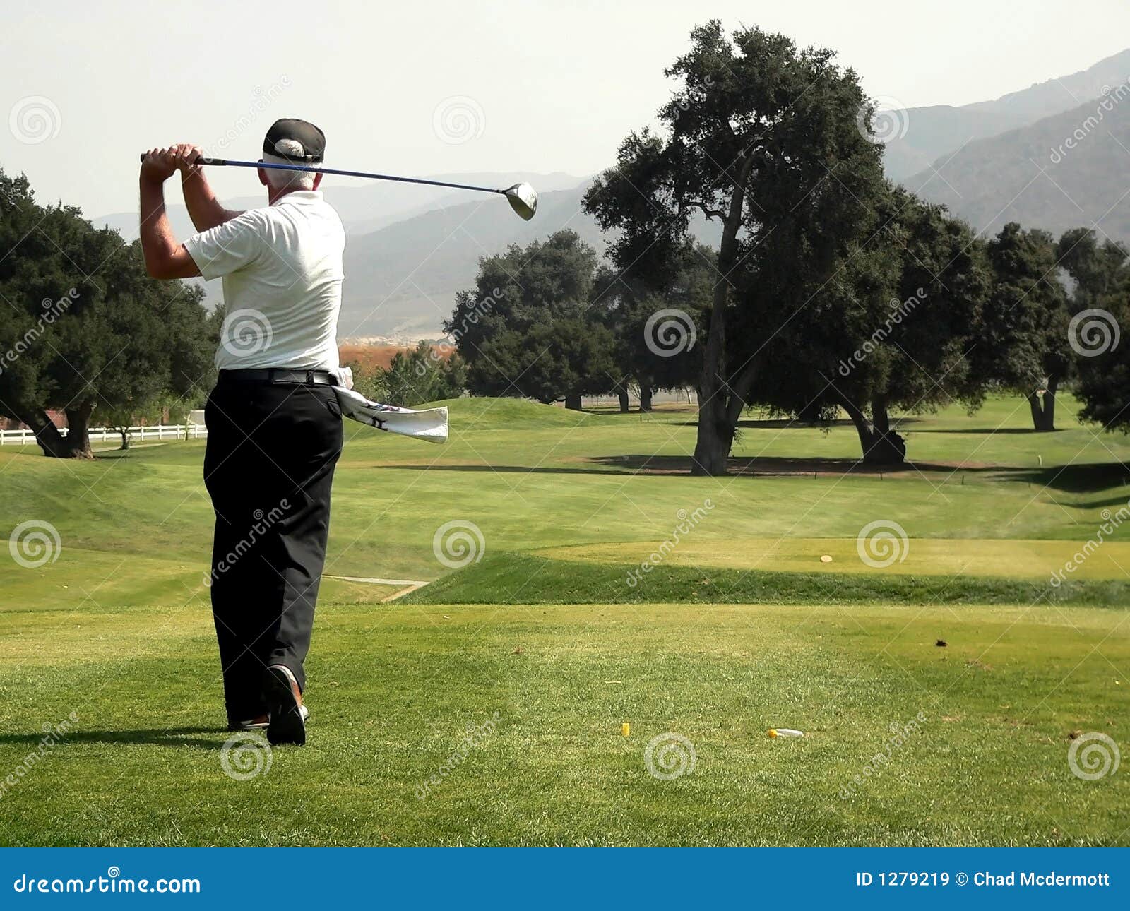 Teeing Off stock image. Image of grass, golfer, birdie - 1279219