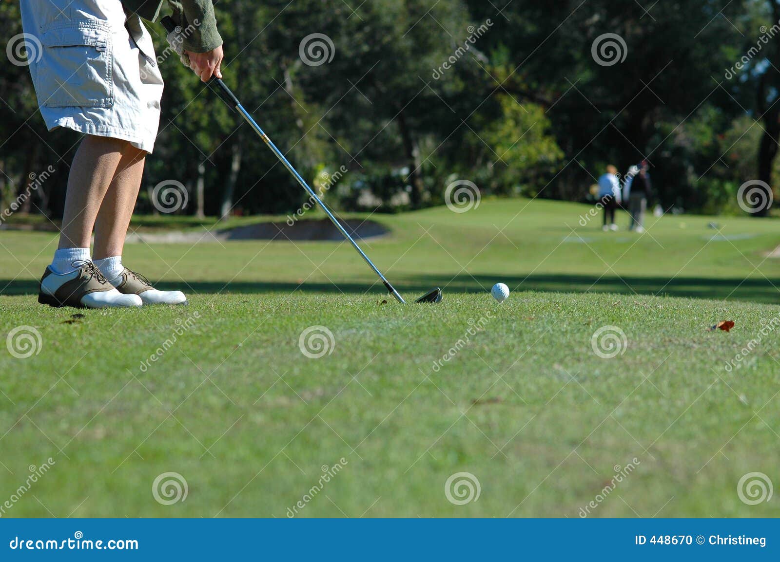 Teeing up stock photo. Image of people, golfing, outdoors - 448670