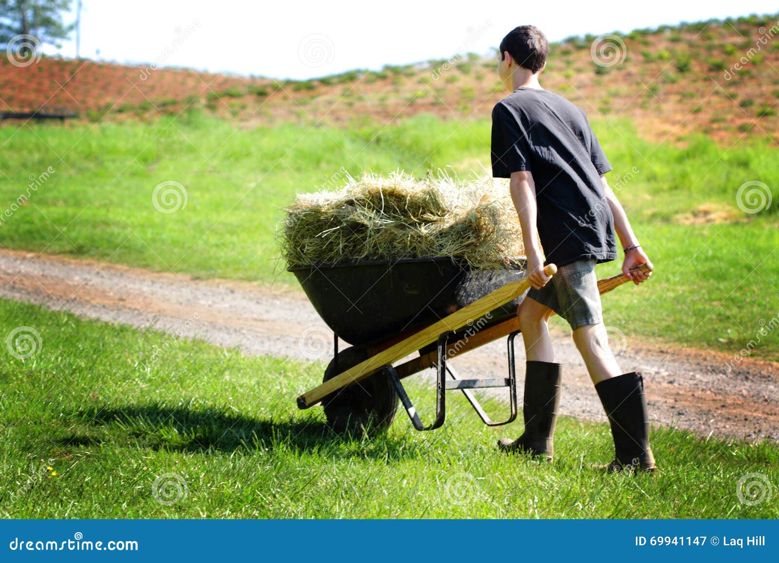 Teen Chores stock image. Image of pasture, good, puberty - 69941147 Teen Chores stock image. Image of pasture, good, puberty - 69941147