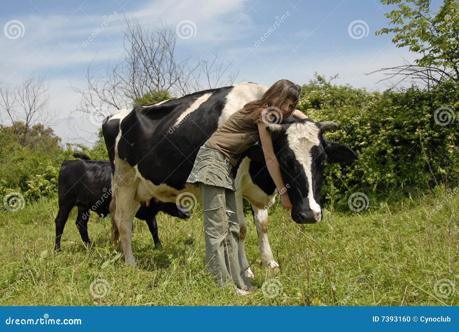 Teen and cow stock photo. Image of child, calf, girl, rural - 7393160