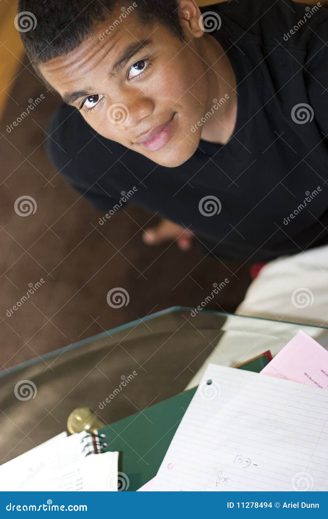 Teen Doing Homework stock photo. Image of male, american - 11278494
