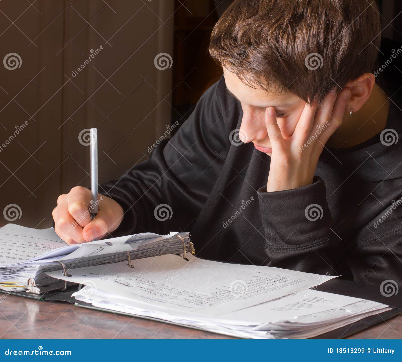Teen Doing Schoolwork stock image. Image of determined - 18513299