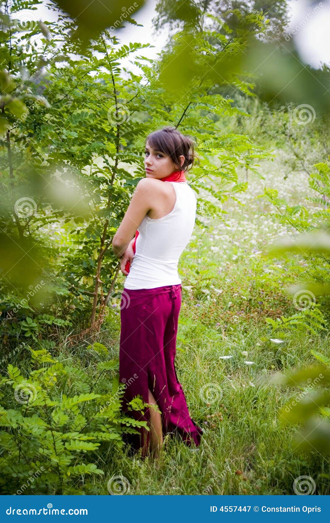Teen girl in forest stock image. Image of lady, girl, stand - 4557447