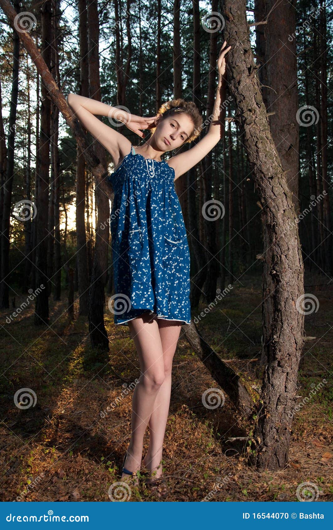 Teen girl in a pine forest stock photo. Image of beauty - 16544070