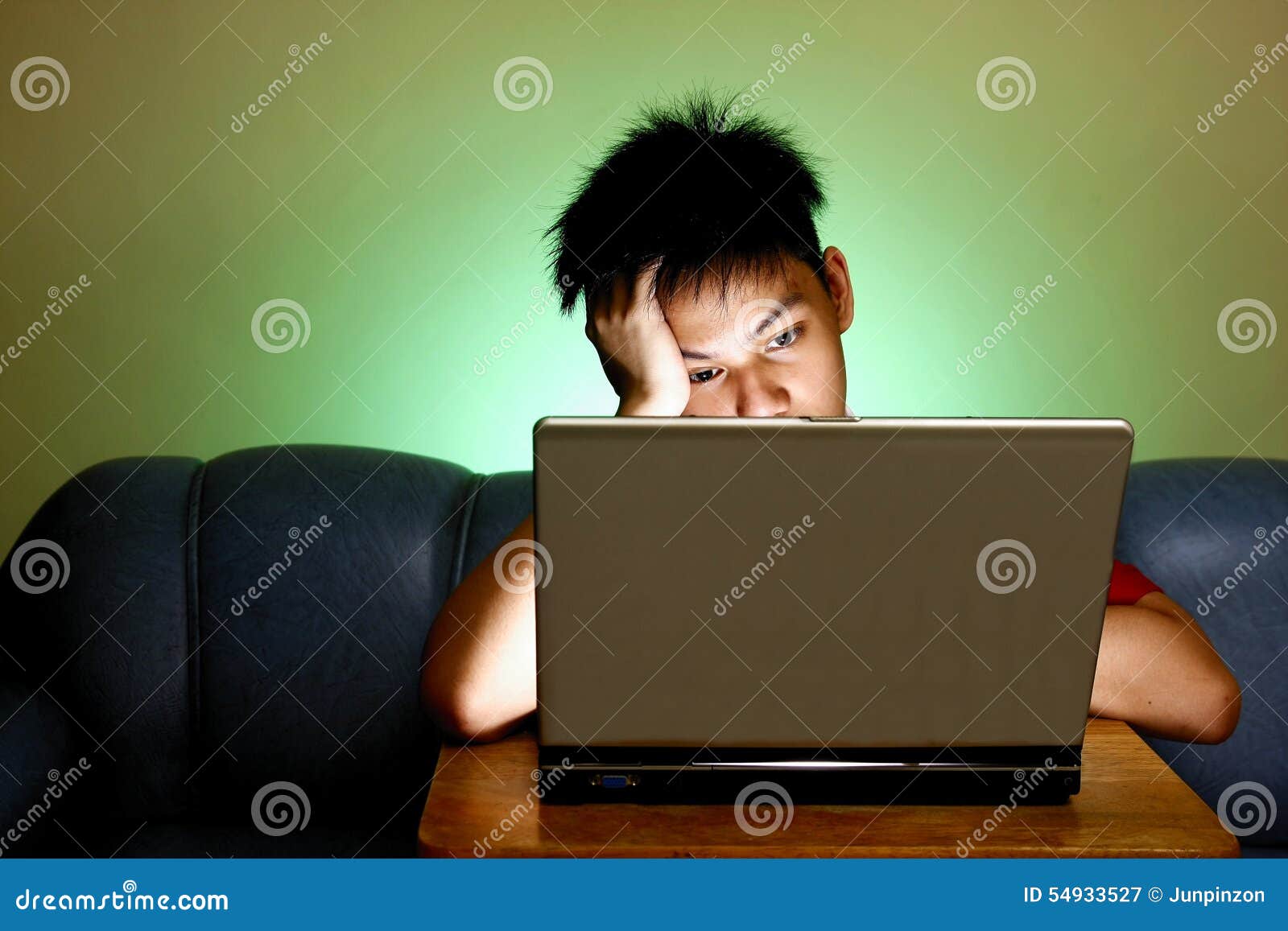 Teen Using a Laptop Computer Stock Image - Image of home, wood: 54933527