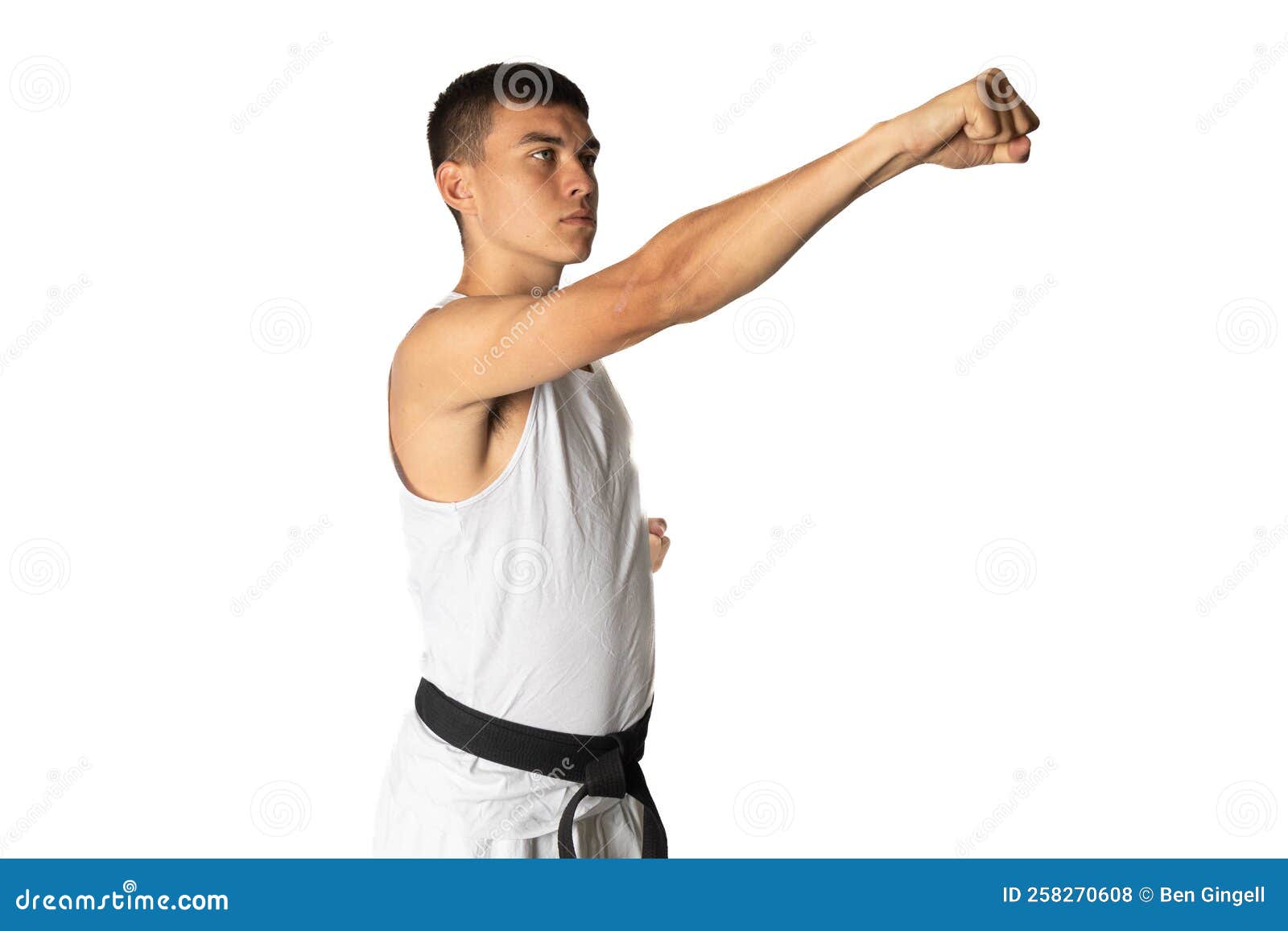 Teenage Boy Doing a Karate Strike Stock Photo - Image of head, fight ...
