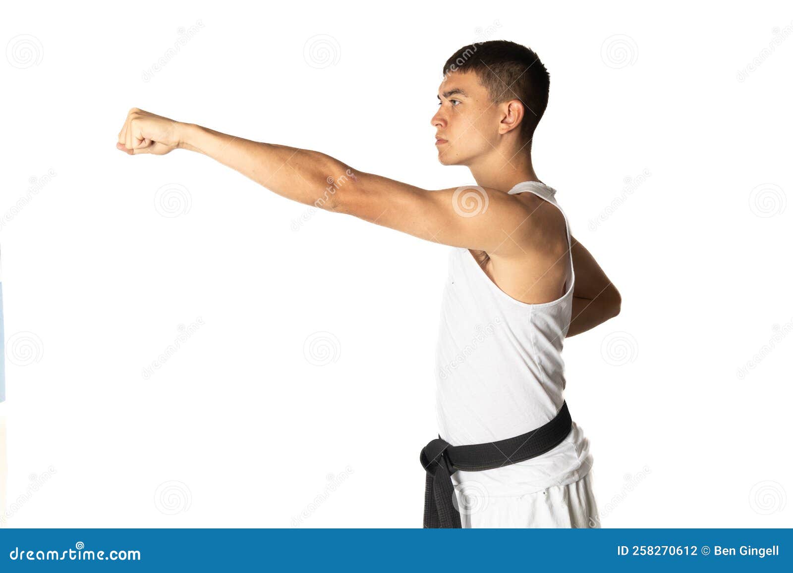 Teenage Boy Doing a Karate Strike Stock Photo - Image of strength ...