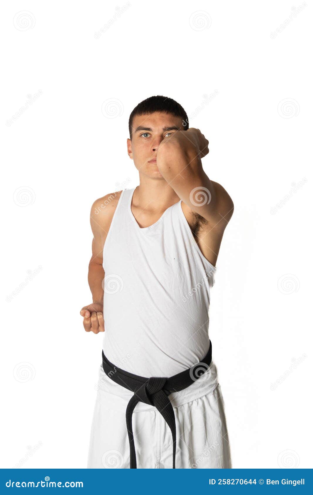Teenage Boy Doing a Karate Strike Stock Photo - Image of fitness ...