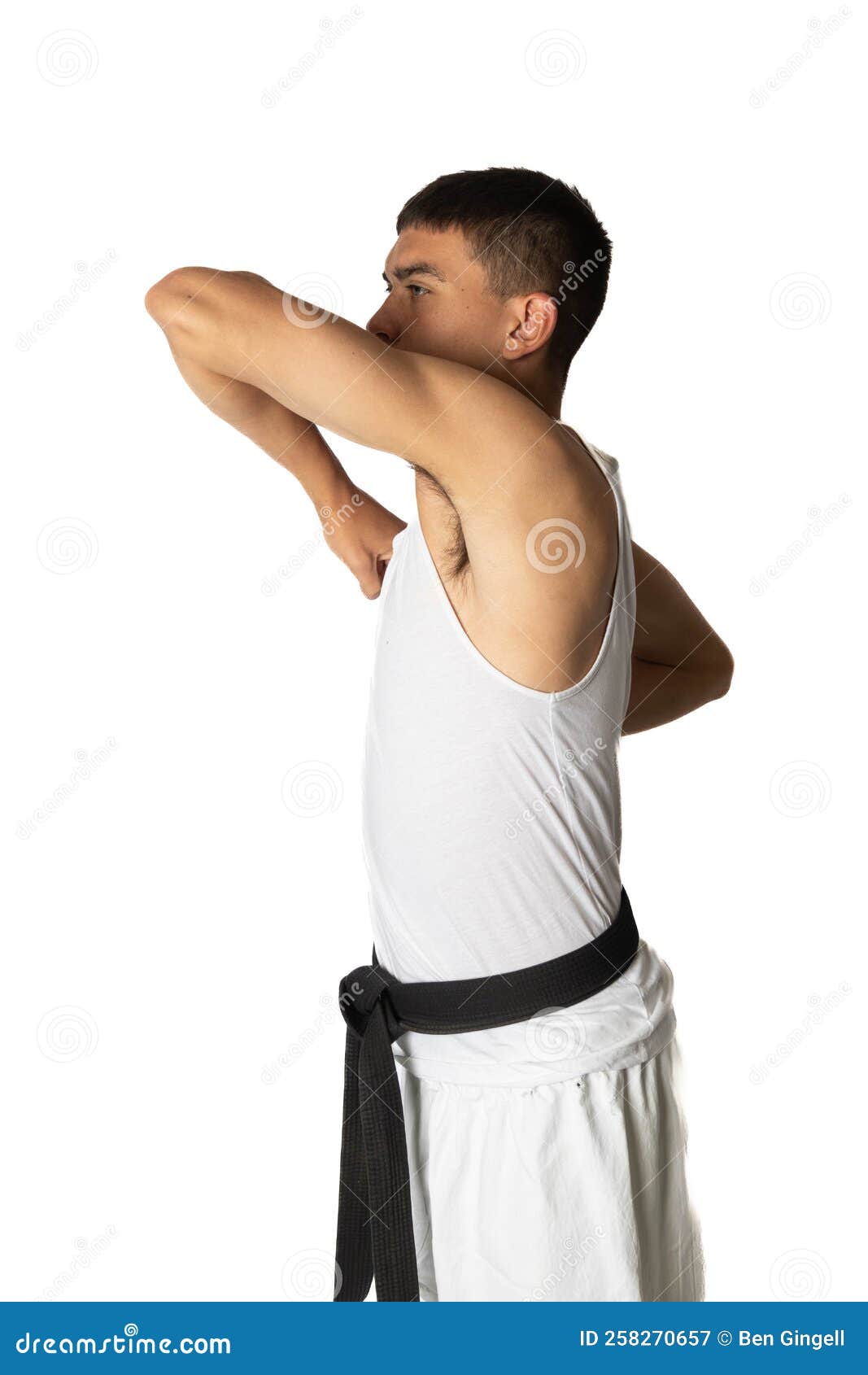 Teenage Boy Doing a Karate Strike Stock Image - Image of nineteen ...