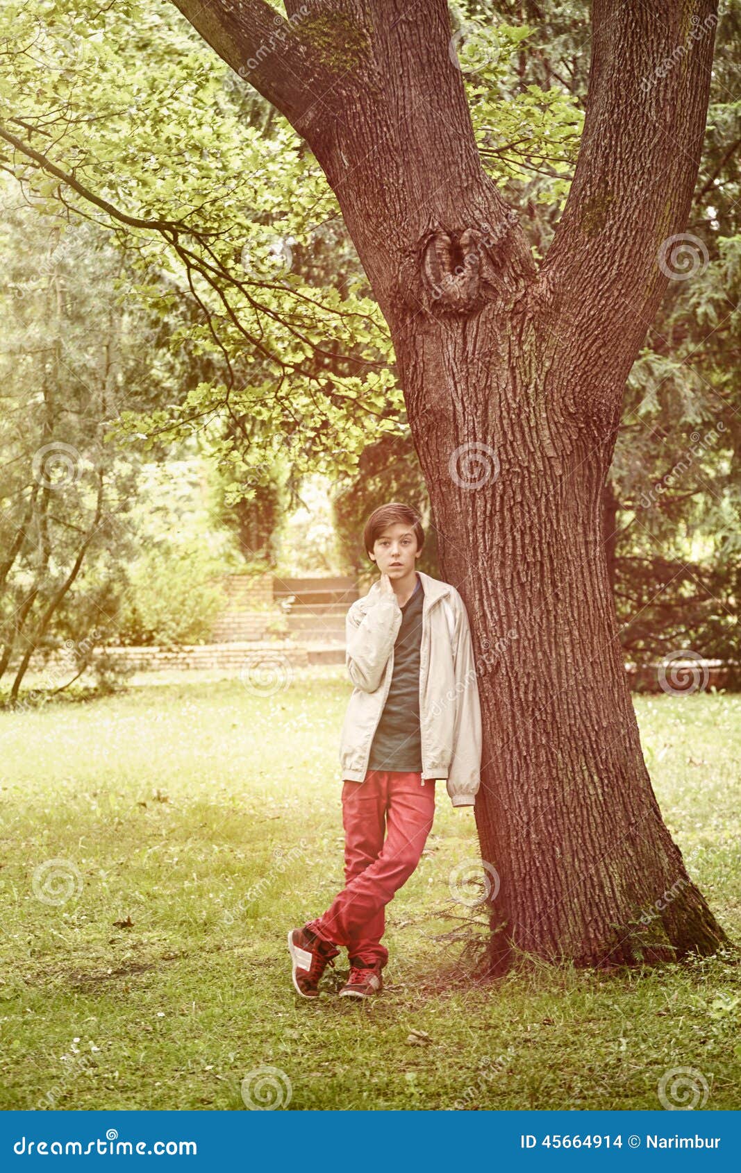 Teenage Boy Leaning Against a Tree Stock Photo - Image of sunbeam ...
