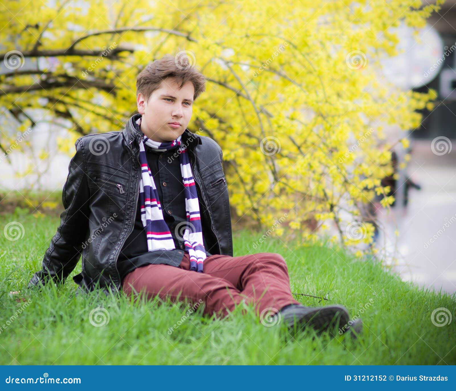 Teenage boy outdoors stock photo. Image of casual, young - 31212152