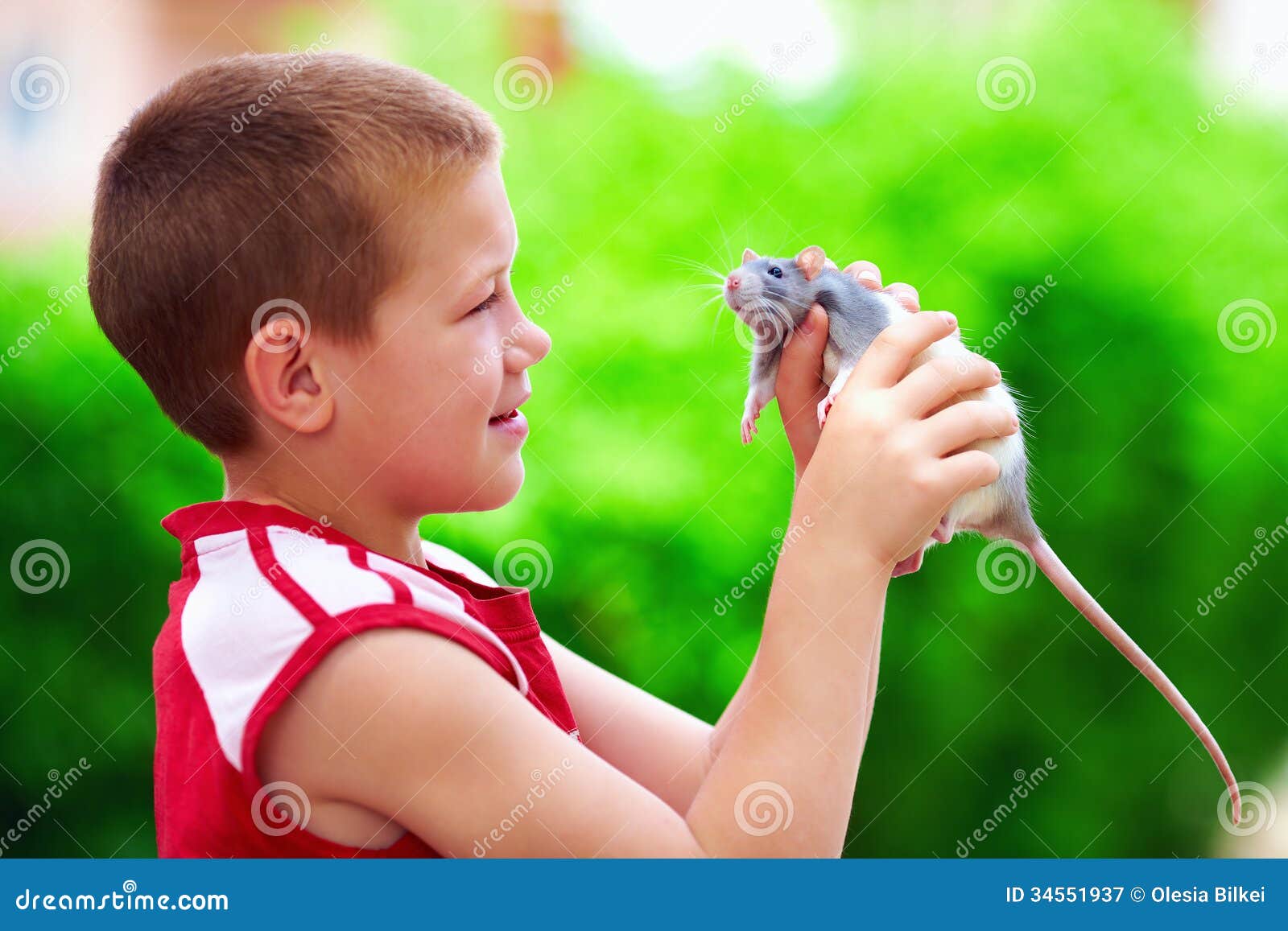 Teenage Boy Playing with Rat Pet Stock Image - Image of animal, hobby ...