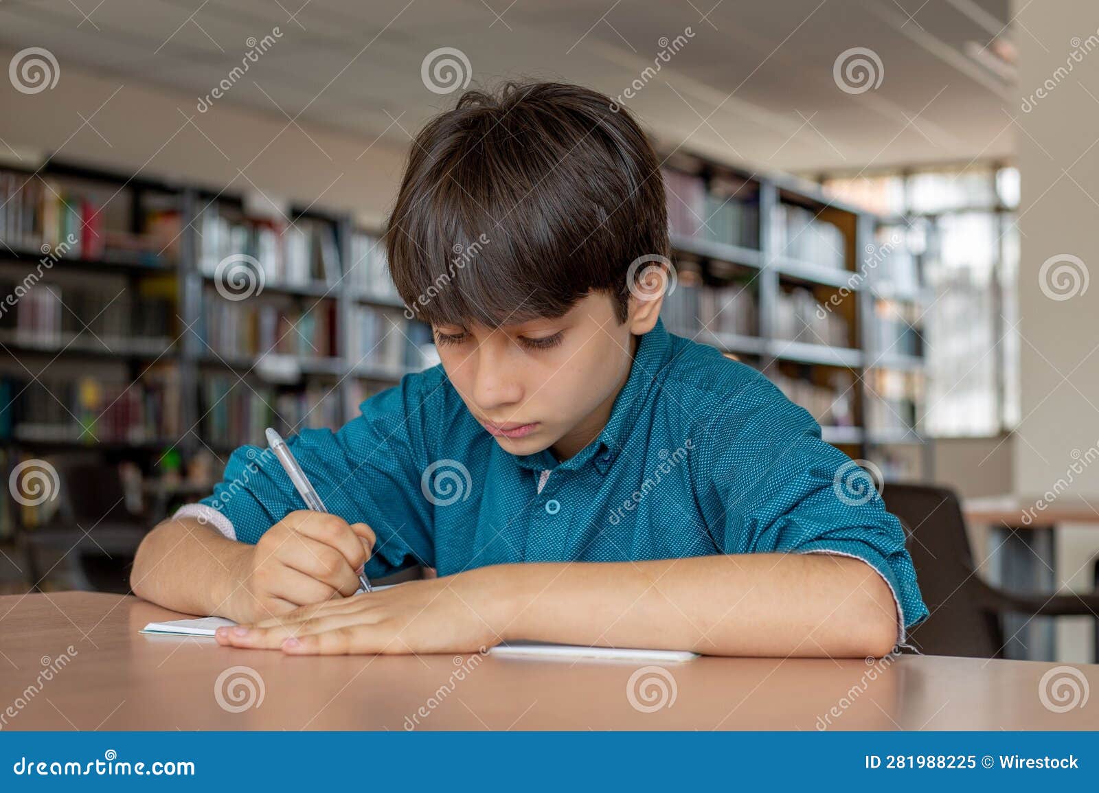 Teenage Boy Studying in the Library Stock Image - Image of scholarly ...