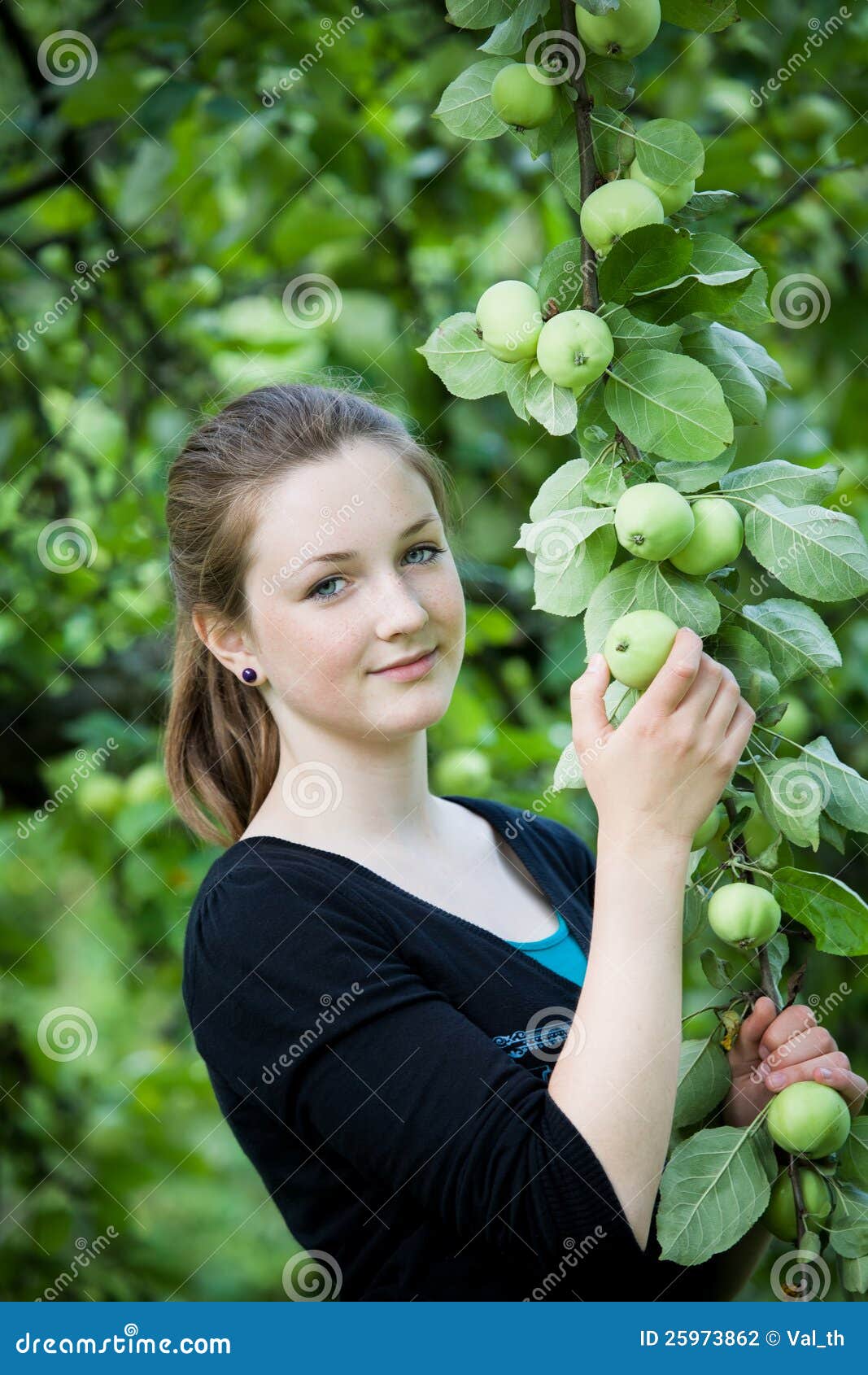 Teenage girl at apple tree stock photo. Image of female - 25973862
