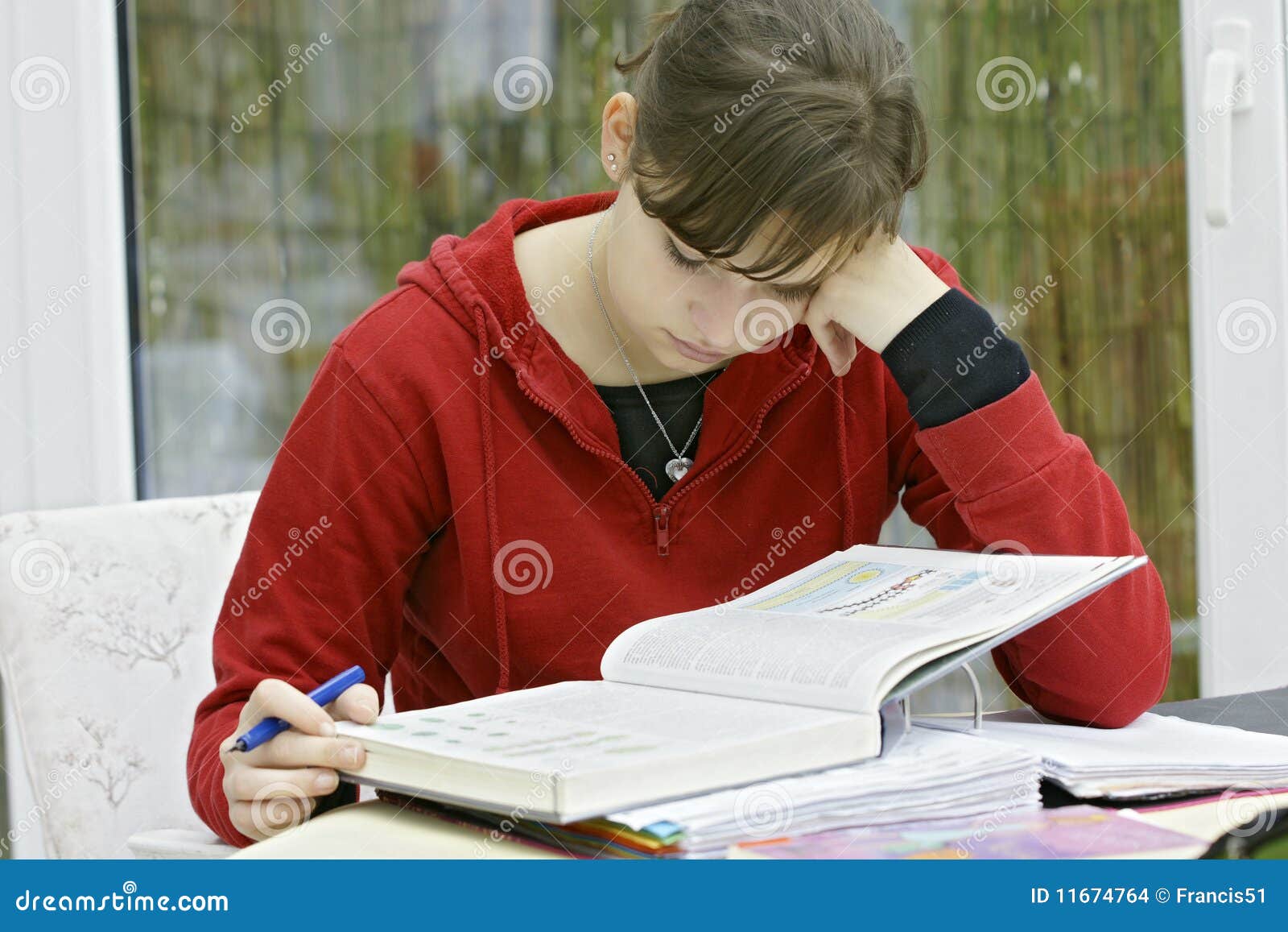Teenage girl studying stock photo. Image of female, learns - 11674764