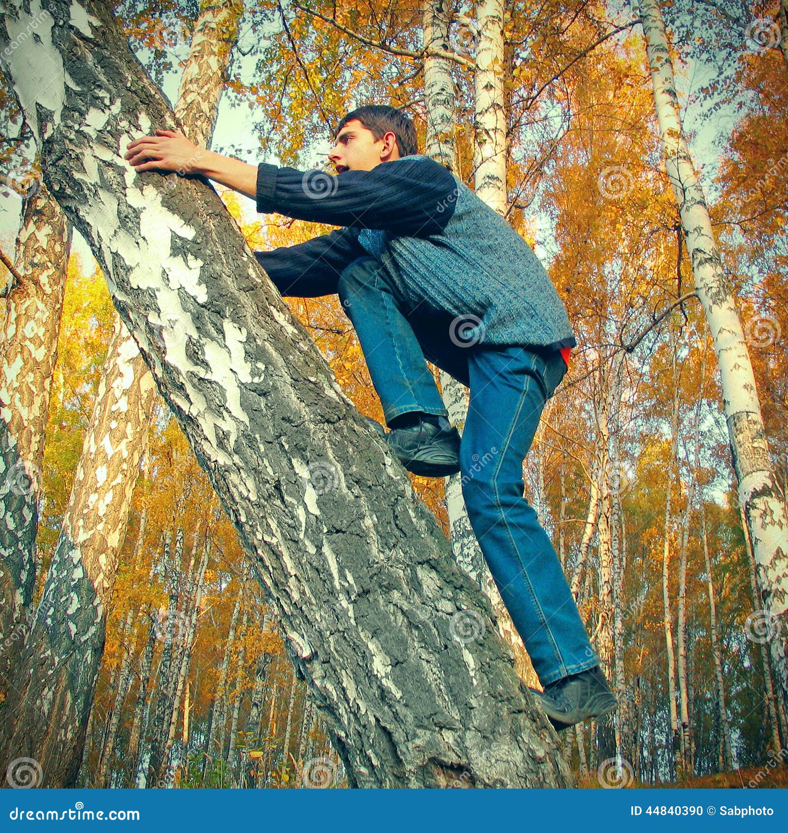 Teenager Climb On The Tree Stock Photography | CartoonDealer.com #44840390