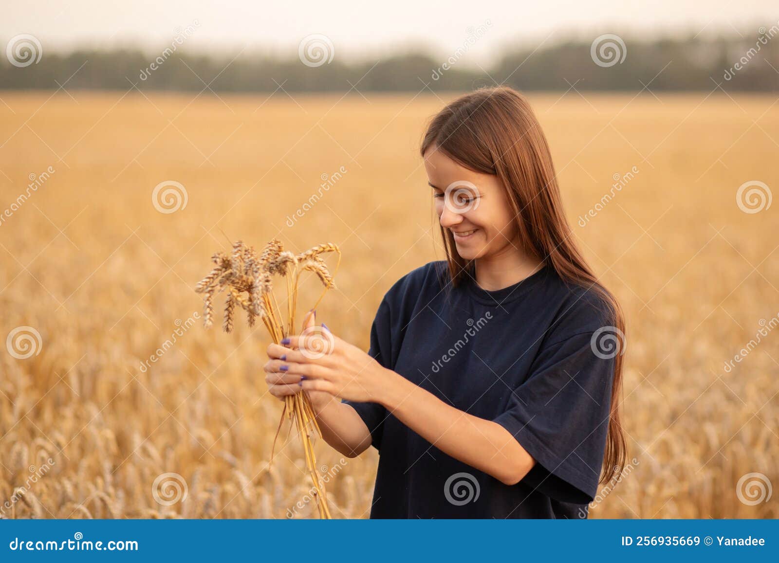 Teenager in a Field of Wheat, Work for Students of Agronomists Stock ...