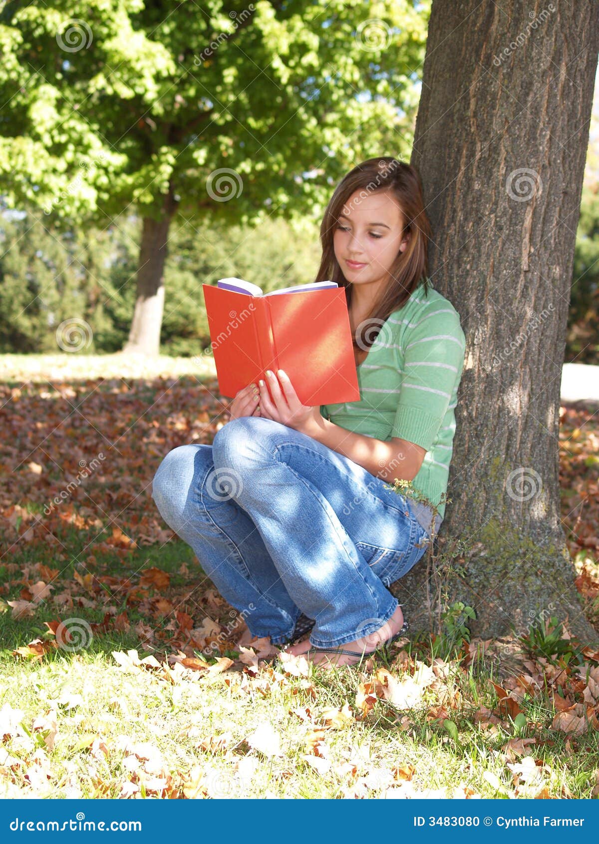 Teenager reading a book stock photo. Image of caucasian - 3483080