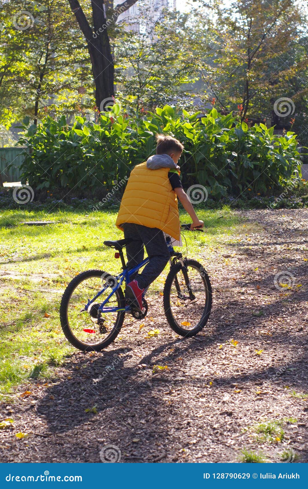 Teenager Riding a Bicycle in the Sun Stock Image - Image of outdoor ...