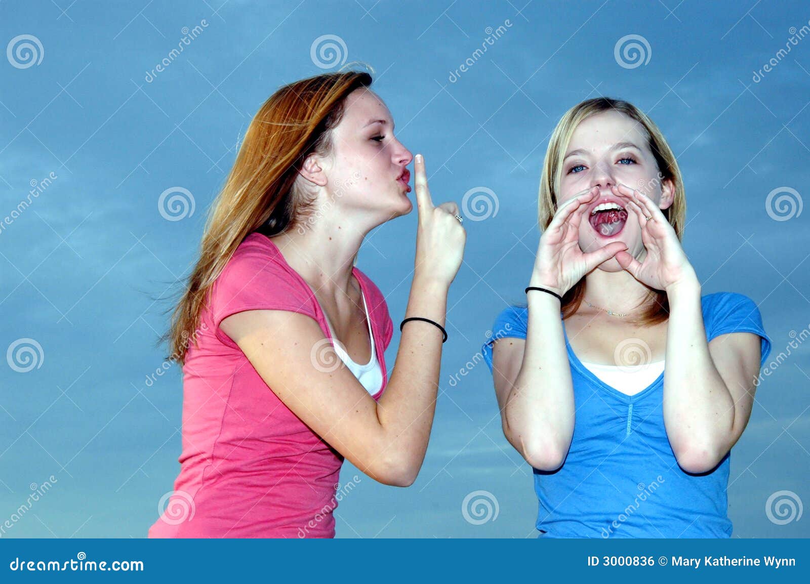 Two Girls Shushing Royalty-Free Stock Photography | CartoonDealer.com ...