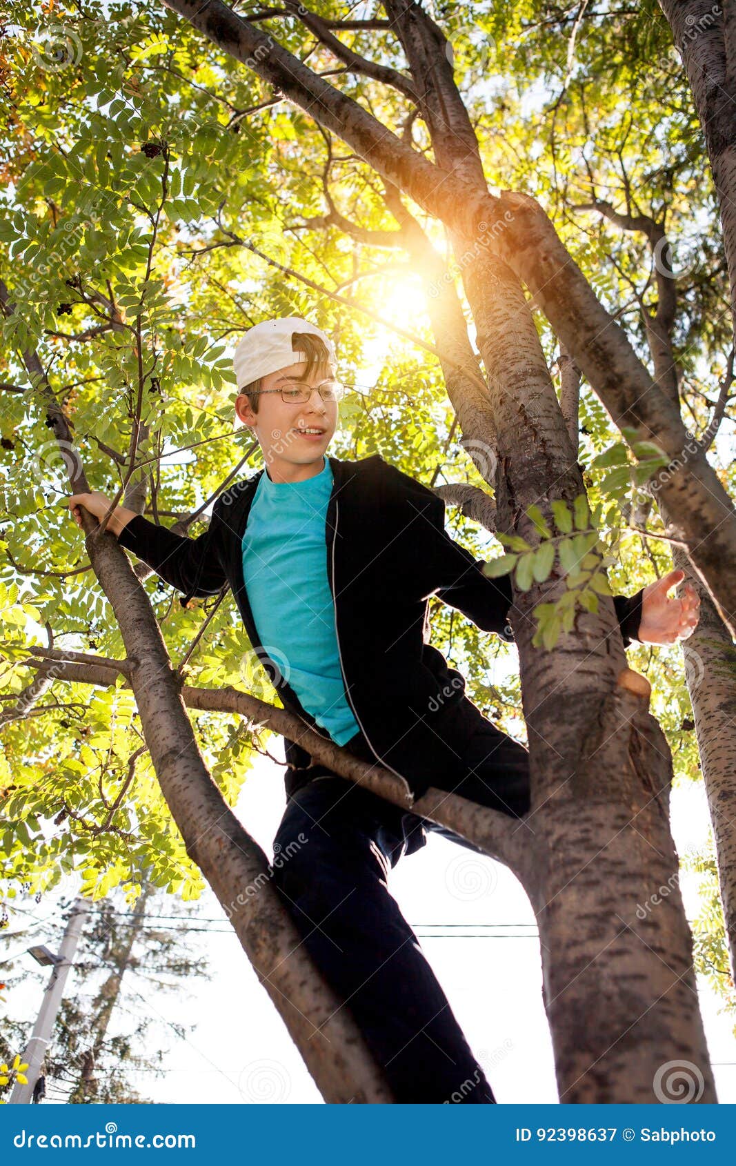 Teenager on the Tree stock image. Image of park, happy - 92398637