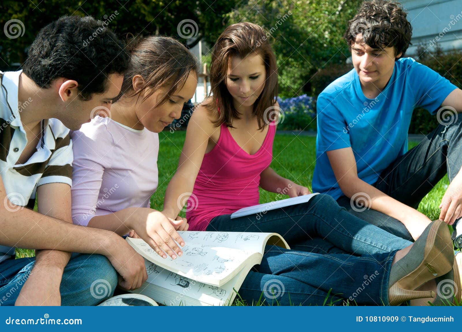 Teenagers studying outdoor stock image. Image of discussion - 10810909