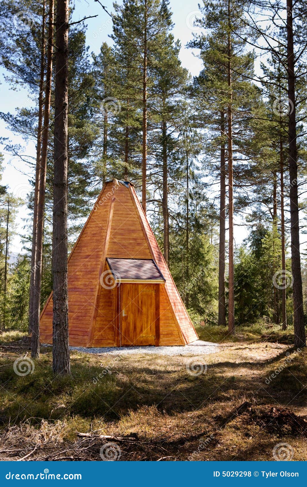Teepee Cabin in Forest stock photo. Image of simple, shelter - 5029298