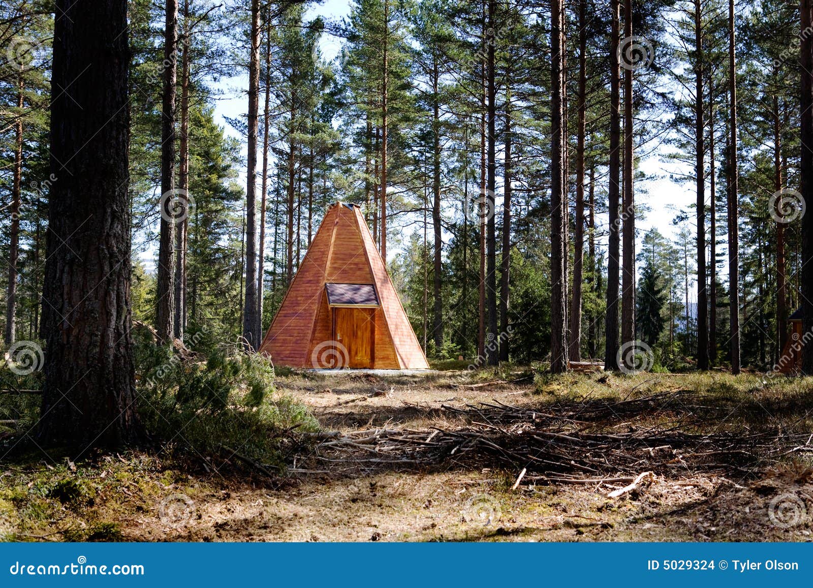 Teepee Cabin in Forest stock photo. Image of tepee, teepee - 5029324