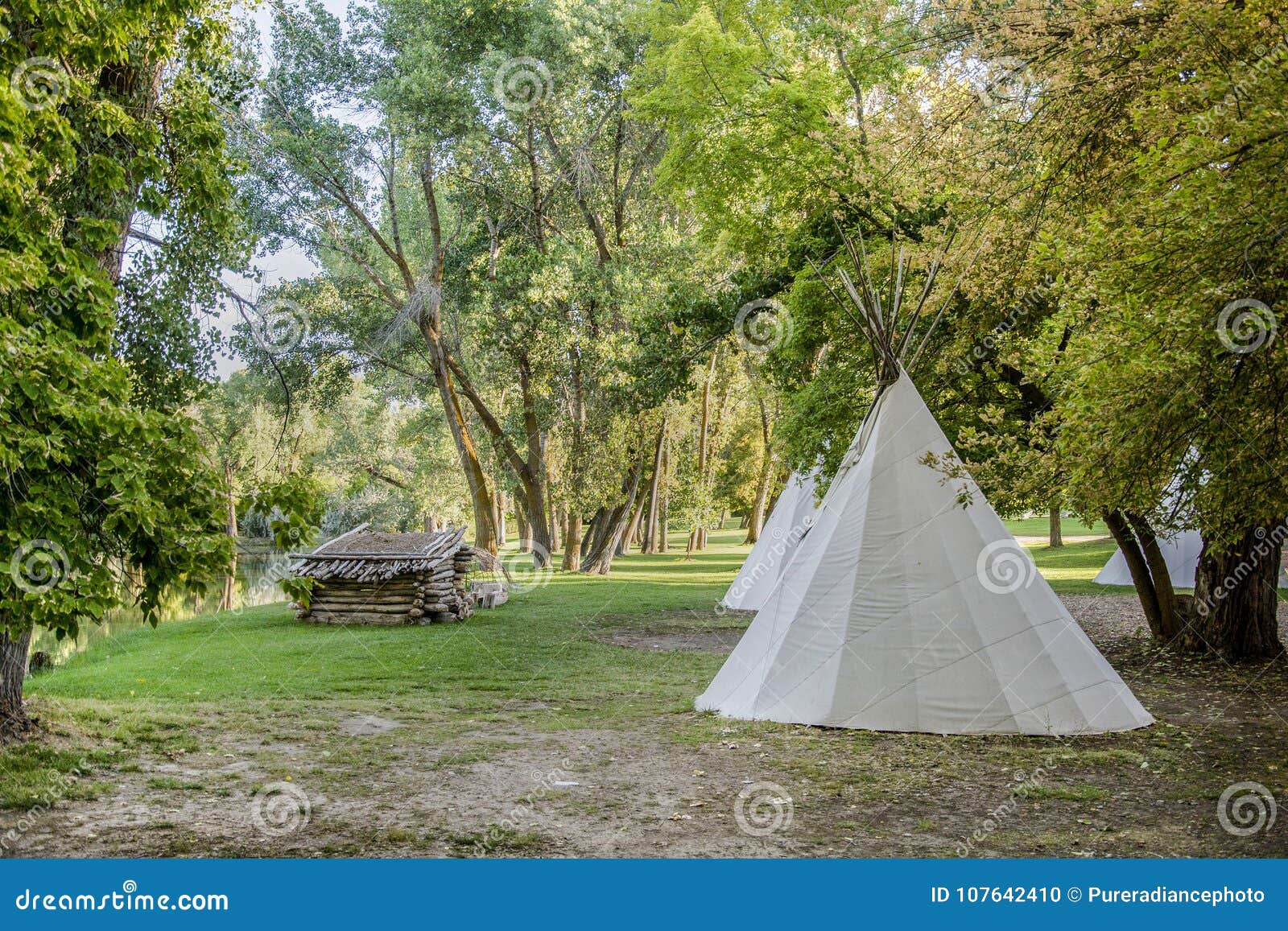Teepee and Cabin in Forest of Trees Stock Photo - Image of natural ...