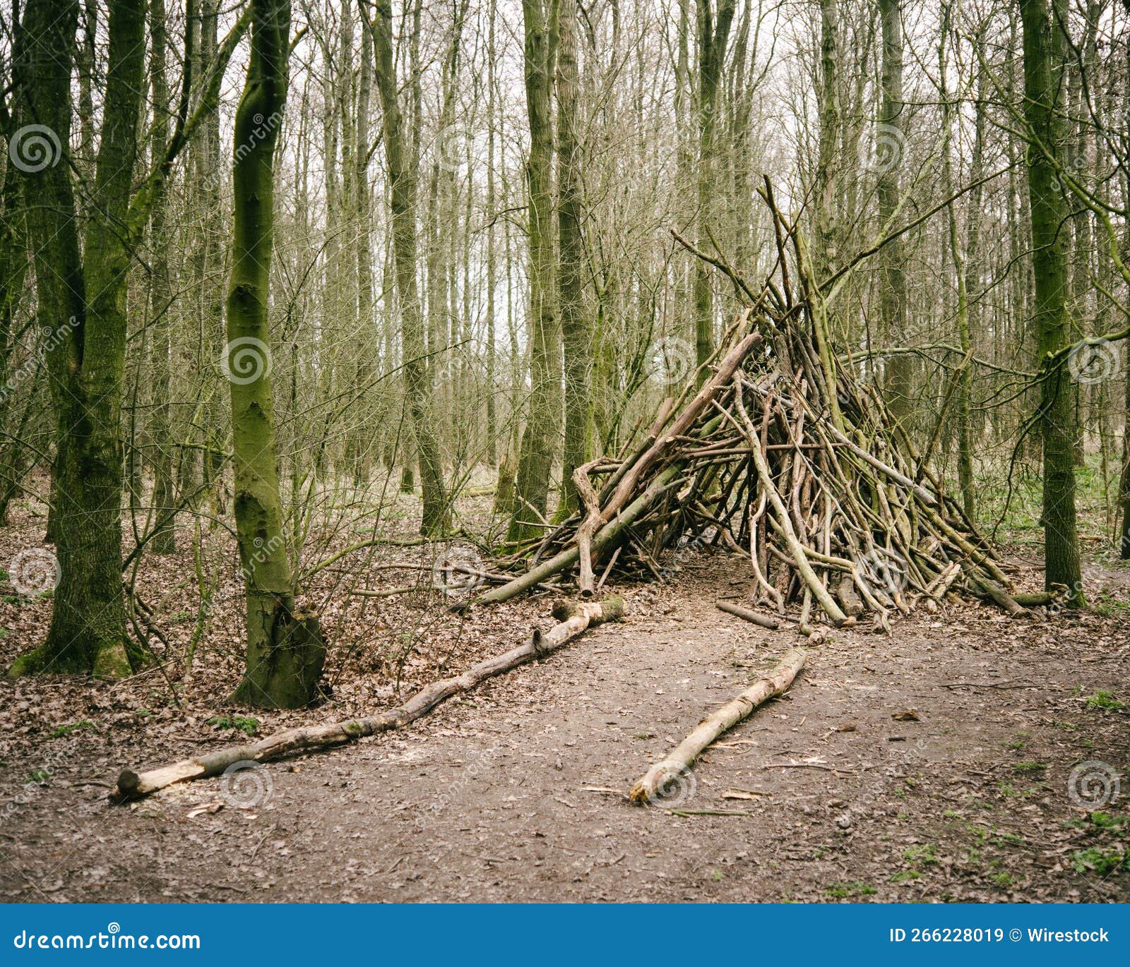 Teepee Made of Sticks in the Forest Stock Image - Image of teepee ...