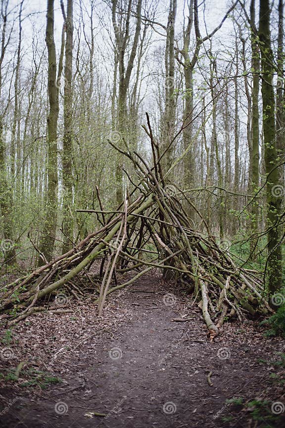 Teepee Made of Sticks in the Forest Stock Image - Image of sticks ...