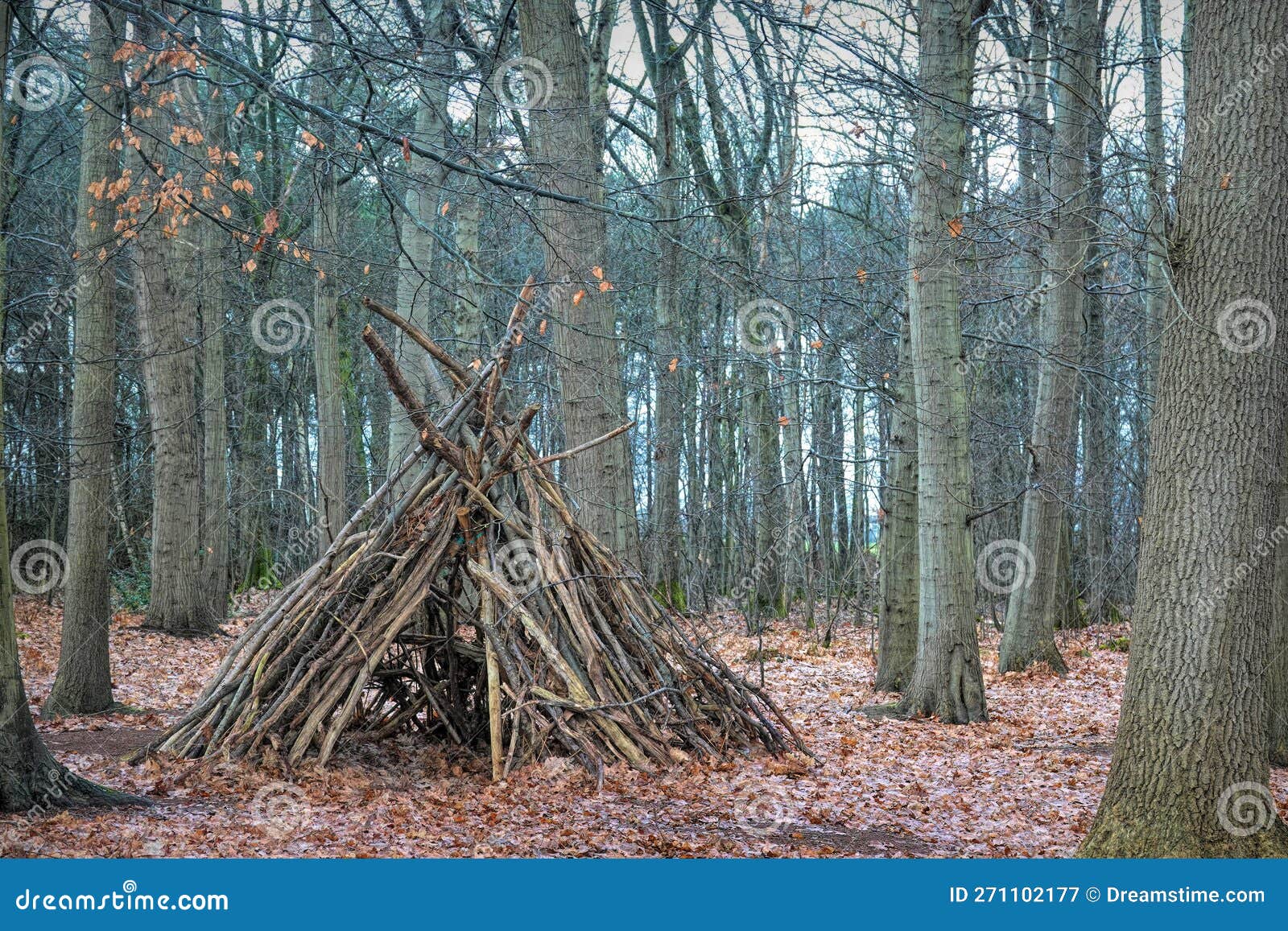 A Teepee Shaped Children S Camp Built with Fallen Branches in the ...