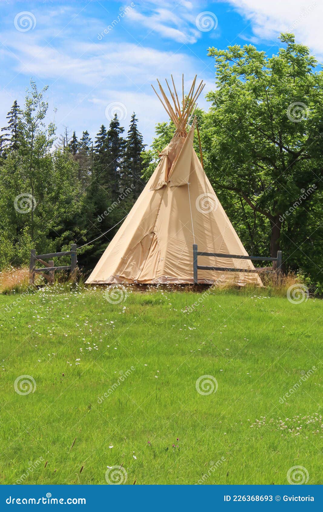Teepee Structure Amongst Green Grass in New Brunswick Canada Stock ...